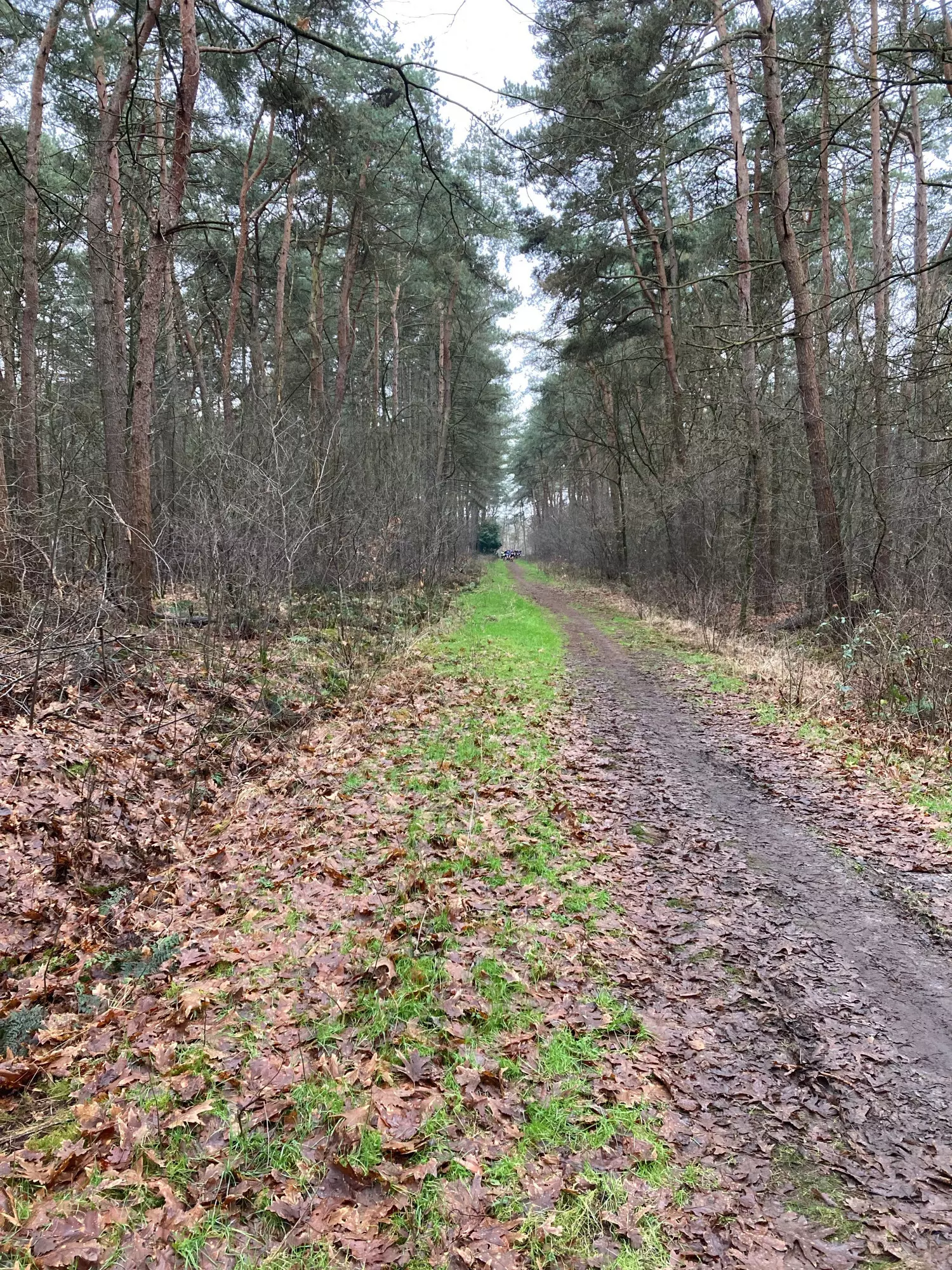 Foto's Wintercriterium JRC Geel